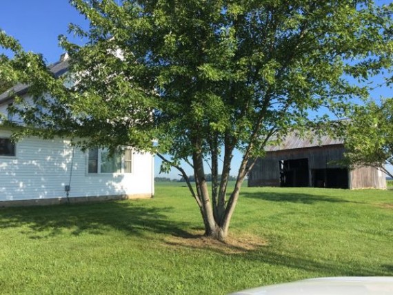 Past Real Estate Auction | 34565 Longberry Rd.
